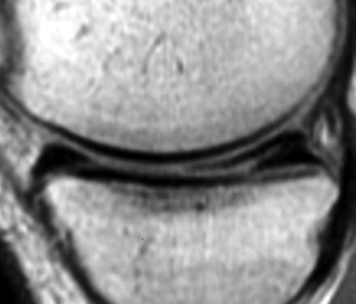 ilearn.courses.med.fiu.edu - /published/MSK_Radiology/quiz_content/