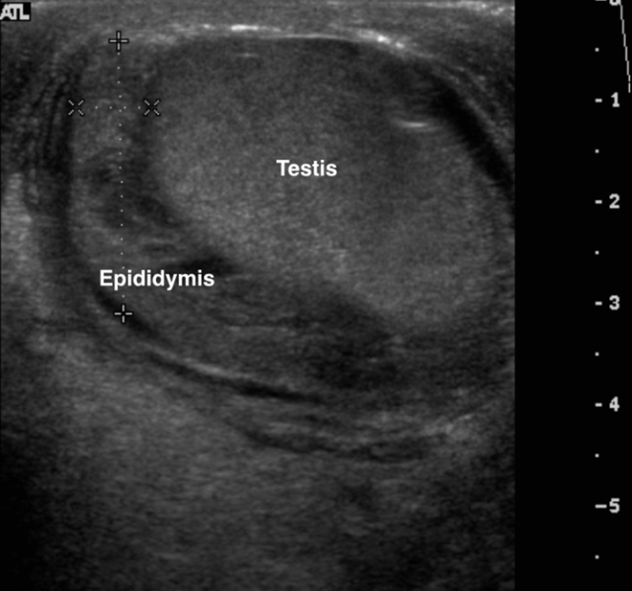 ilearn.courses.med.fiu.edu - /published/Ultrasound/mobile/